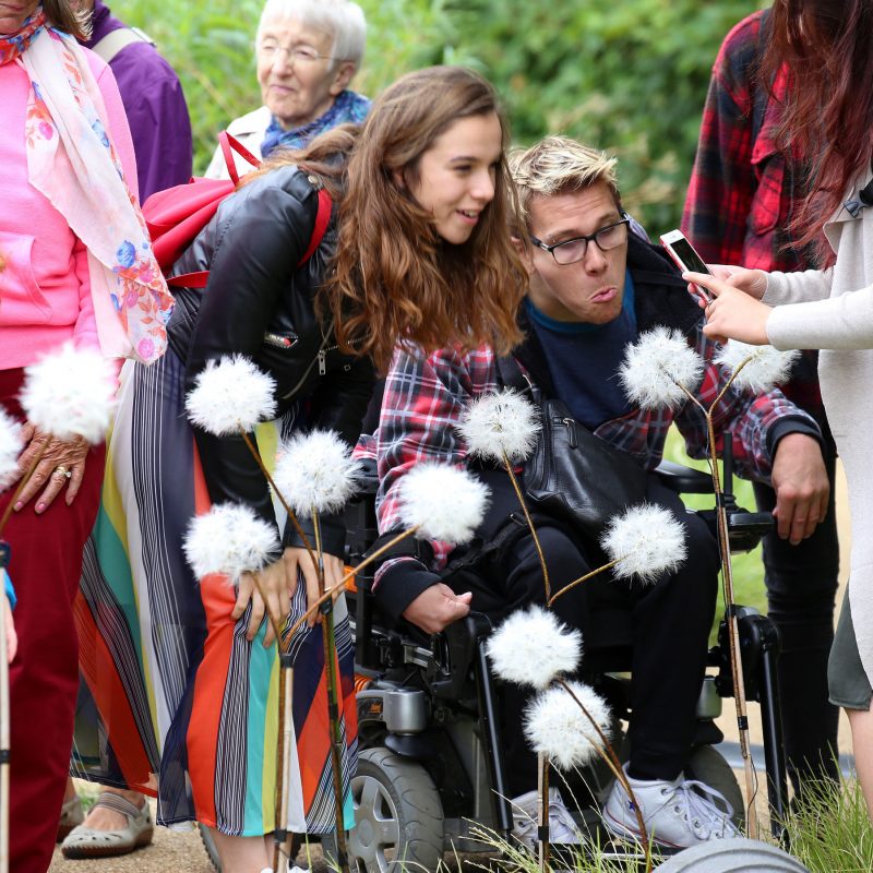 Planted Symphony – Vulpestruments